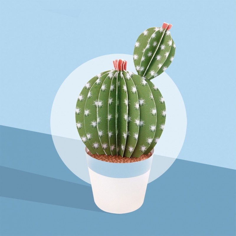 Maquettes en Papier - Les Petits Cactus - Made in France