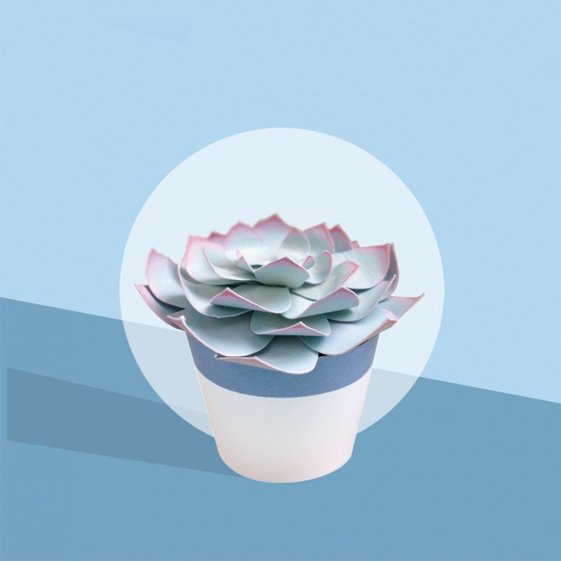 Maquettes en Papier - Les Petits Cactus - Made in France